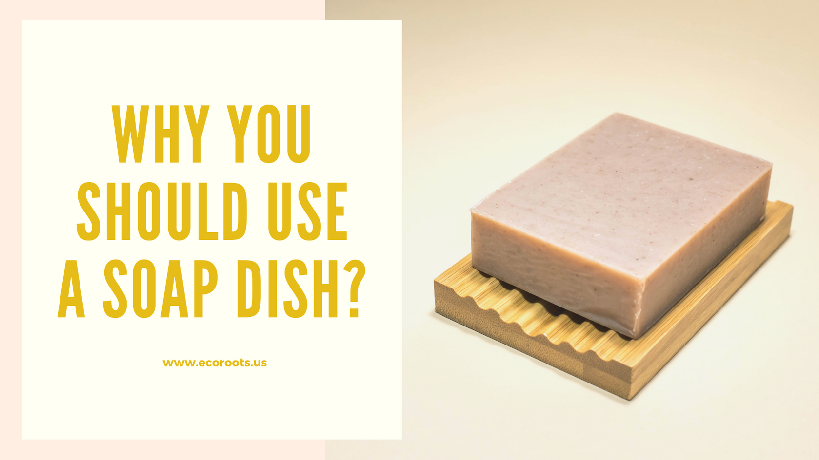 Why should you use a Soap Dish? – EcoRoots