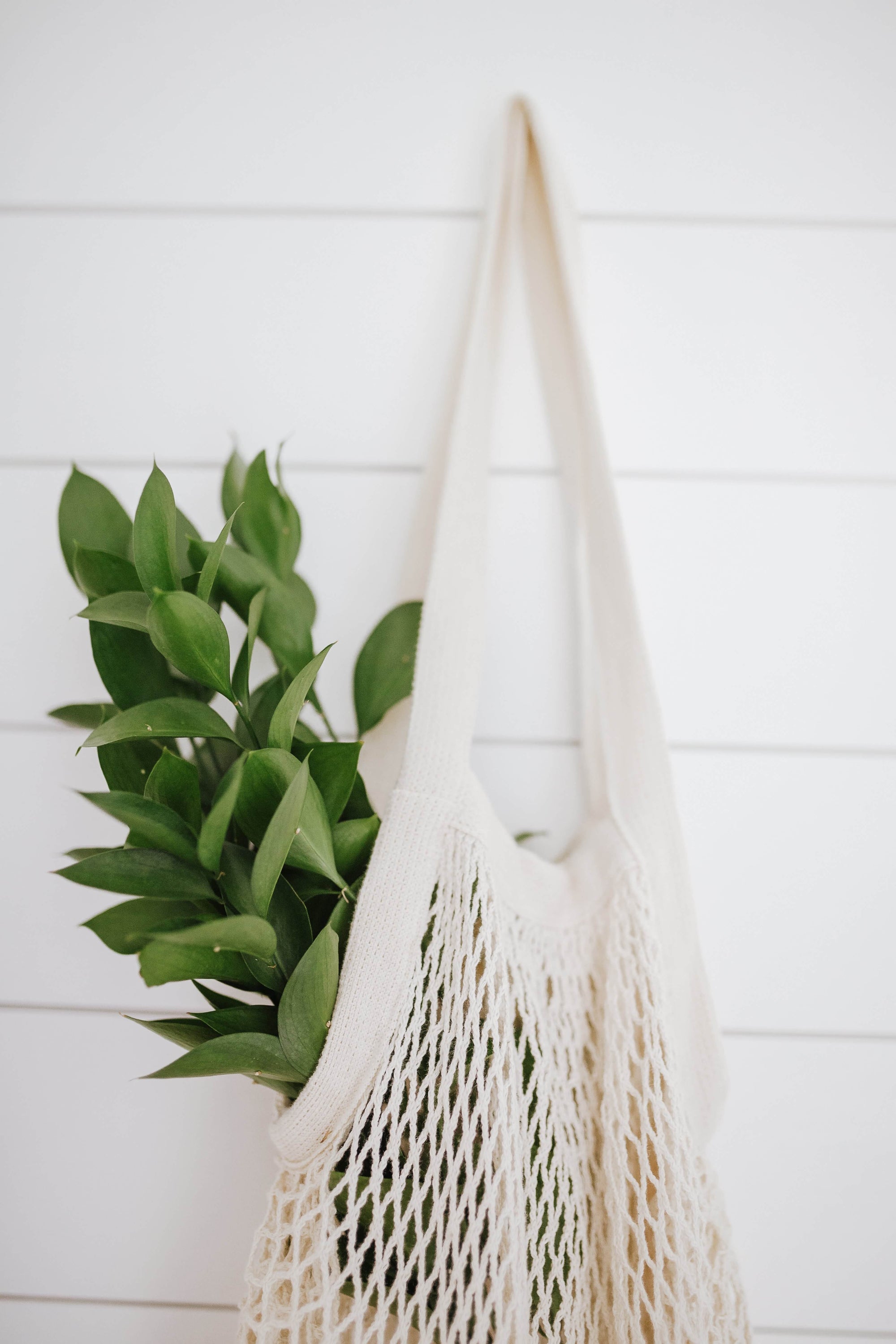 Organic Cotton String Bag – EcoRoots