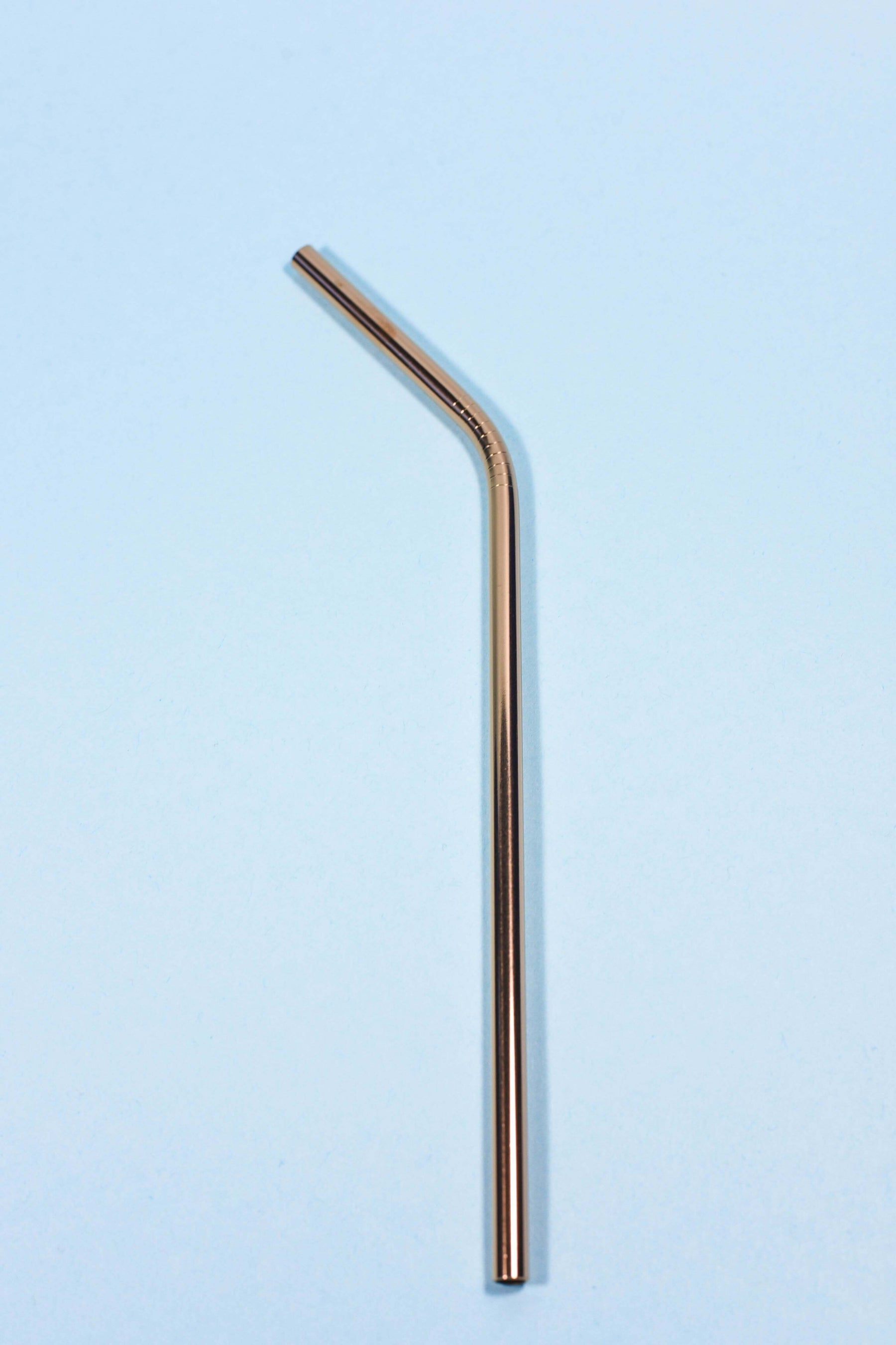 8'' Stainless Steel Straw – EcoRoots